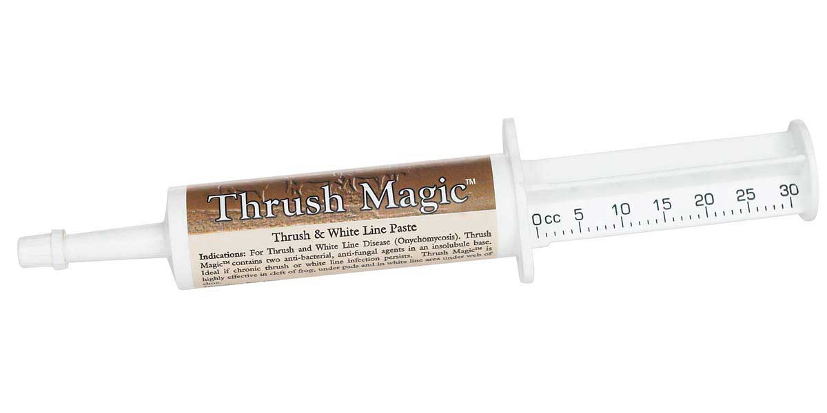 Animal Healthcare Labs Thrush Magic Thrush and White Line Paste for Ho ...