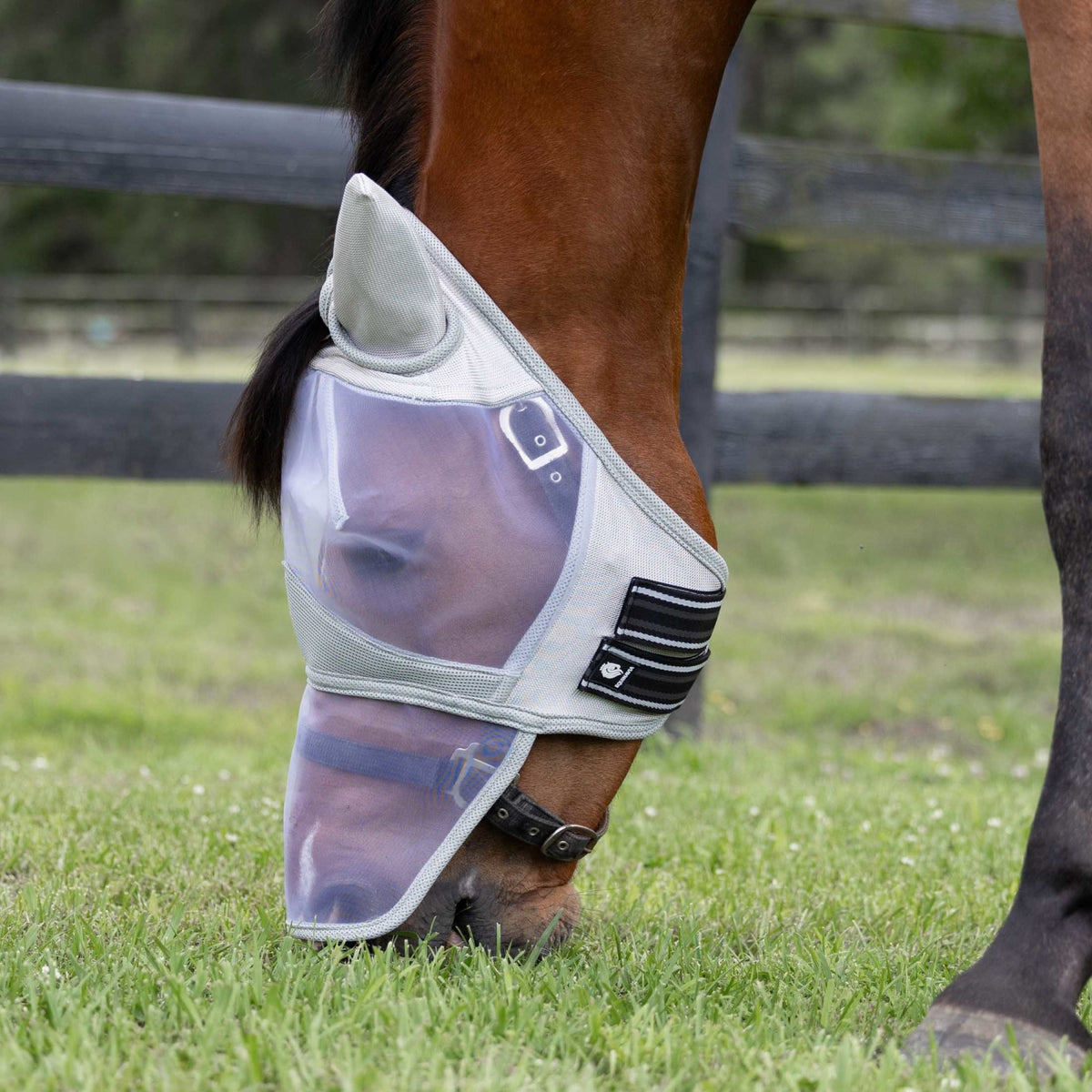 Equinavia Algard Soft Mesh Long Nose Fly Mask – Equitique-USA