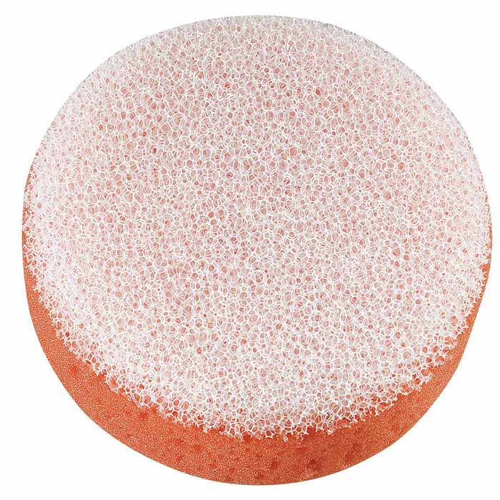 GT Reid Sponge with Scrubber – Equitique-USA