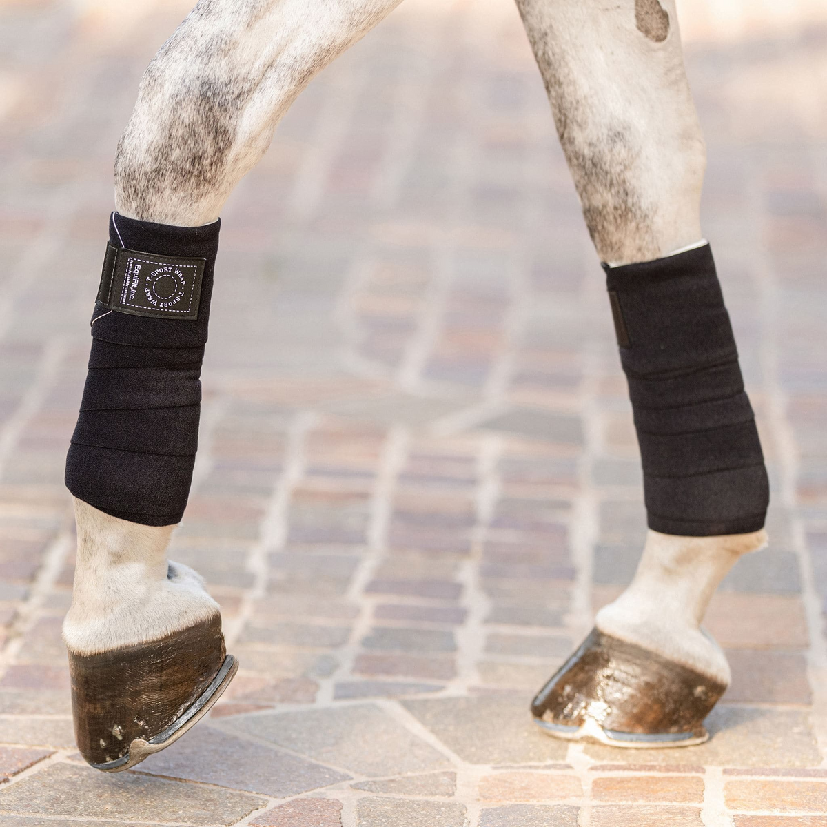 EquiFit T-Sport Wrap – Equitique-USA
